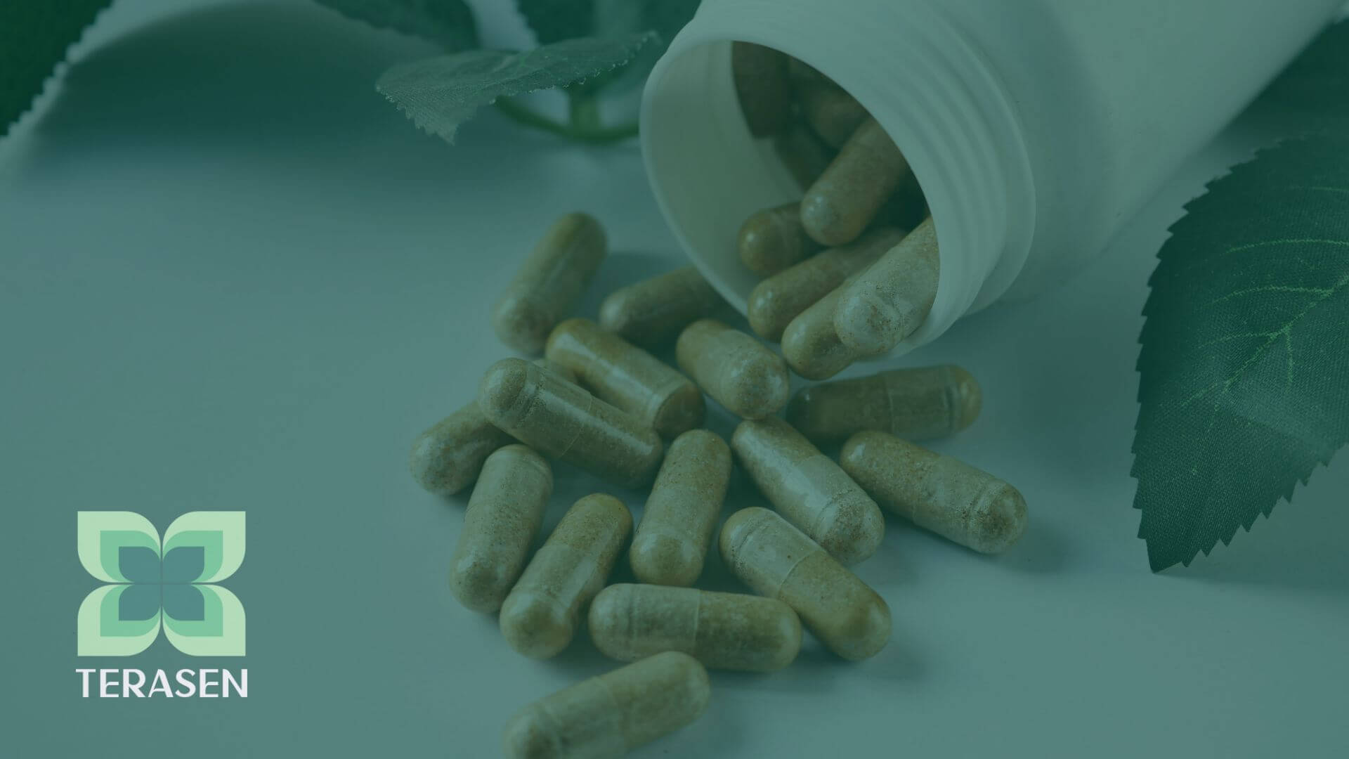 O que é Terasen®? Como funciona, para quem é indicado